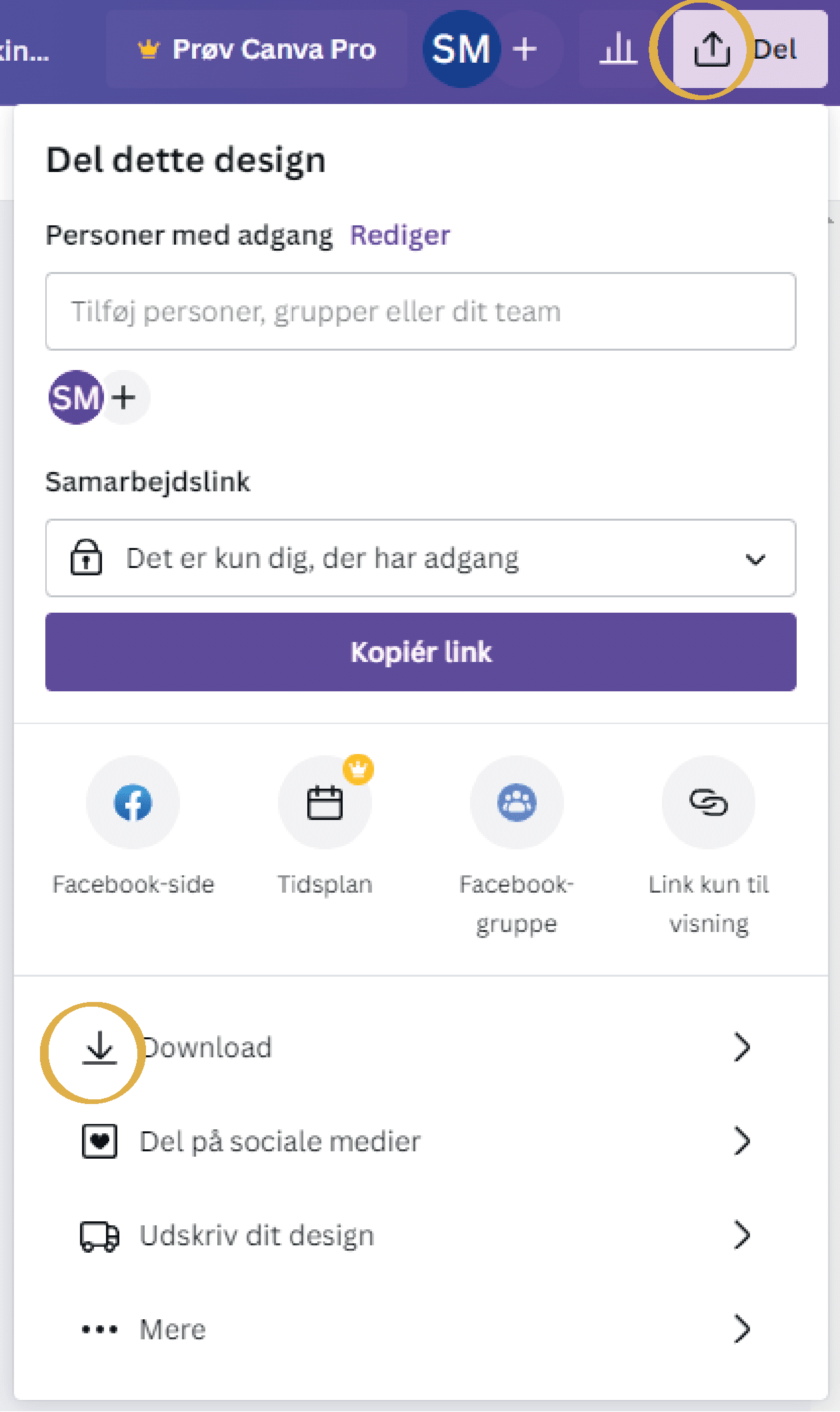 Bliv din egen grafiker med Canva | Business Randers